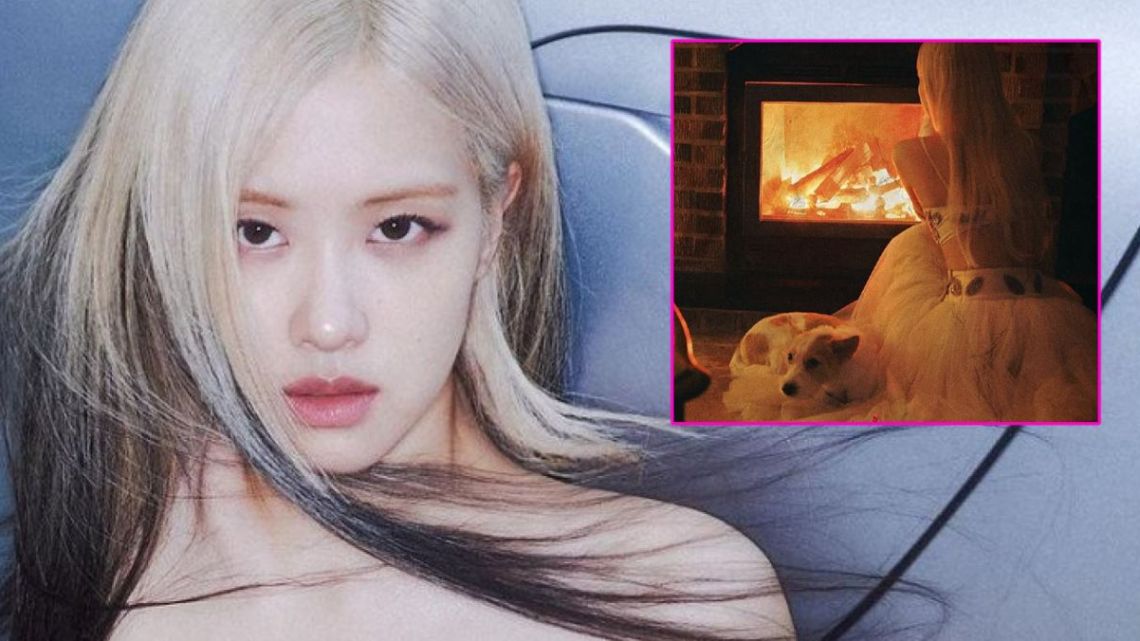 Rosé de BLACKPINK y su perro Hank le dan la bienvenida a las fiestas con una producción especial ...