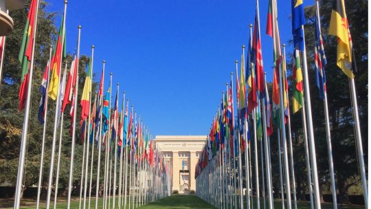 Reimagining the United Nations: A Fresh Era of Global Cooperation - Archyde