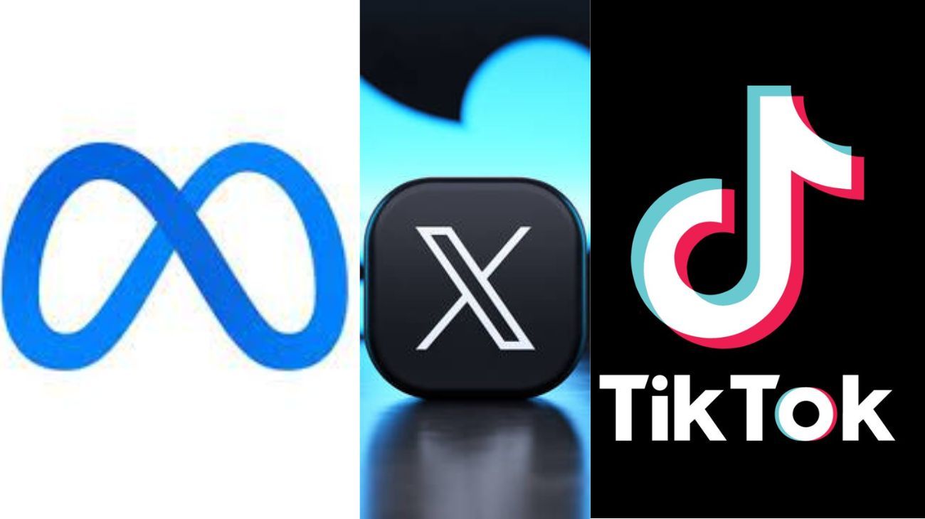 Meta, la red social X y Tik Tok, unidas para frenar las restricciones ...