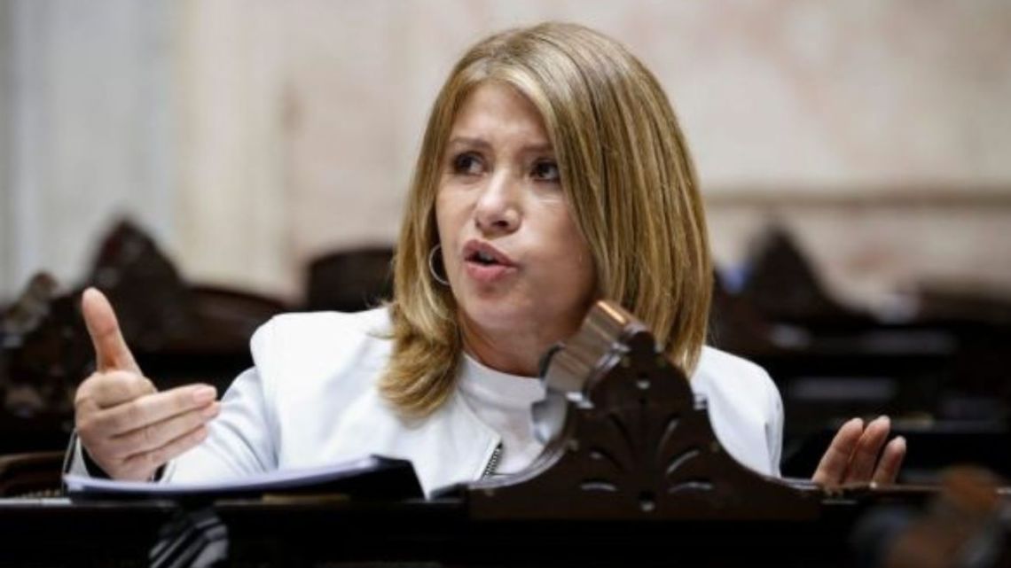 Litza: "El DNU nos lleva a una Argentina pre-peronista" | Perfil