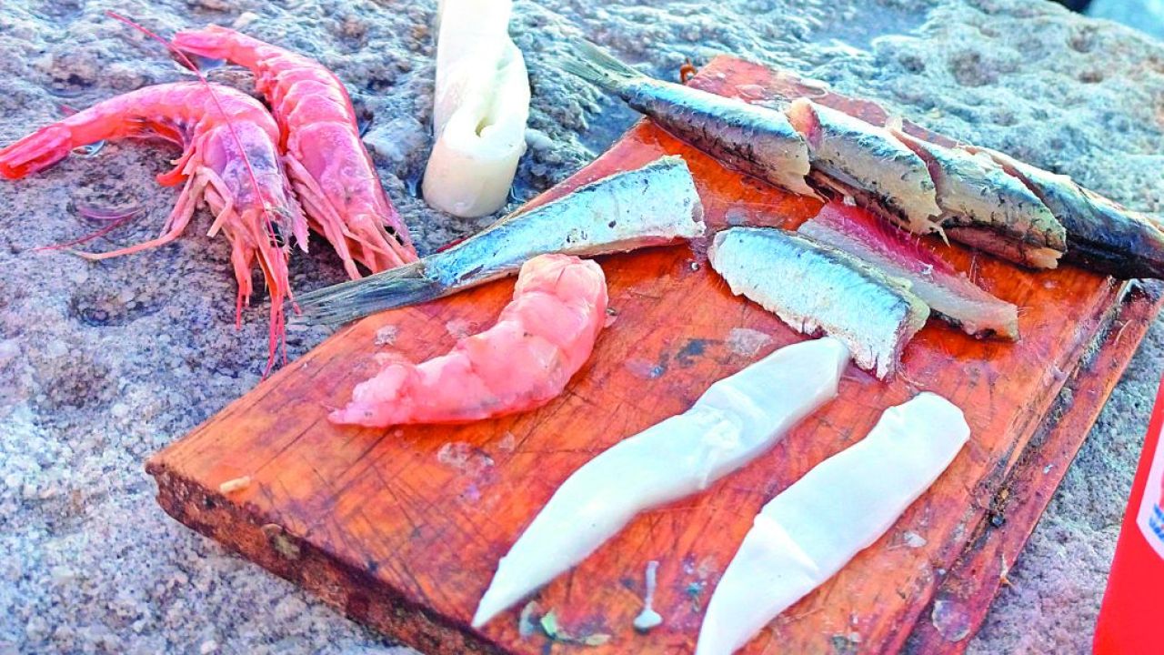 Las carnadas que no pueden faltar en la pesca en el mar | Weekend