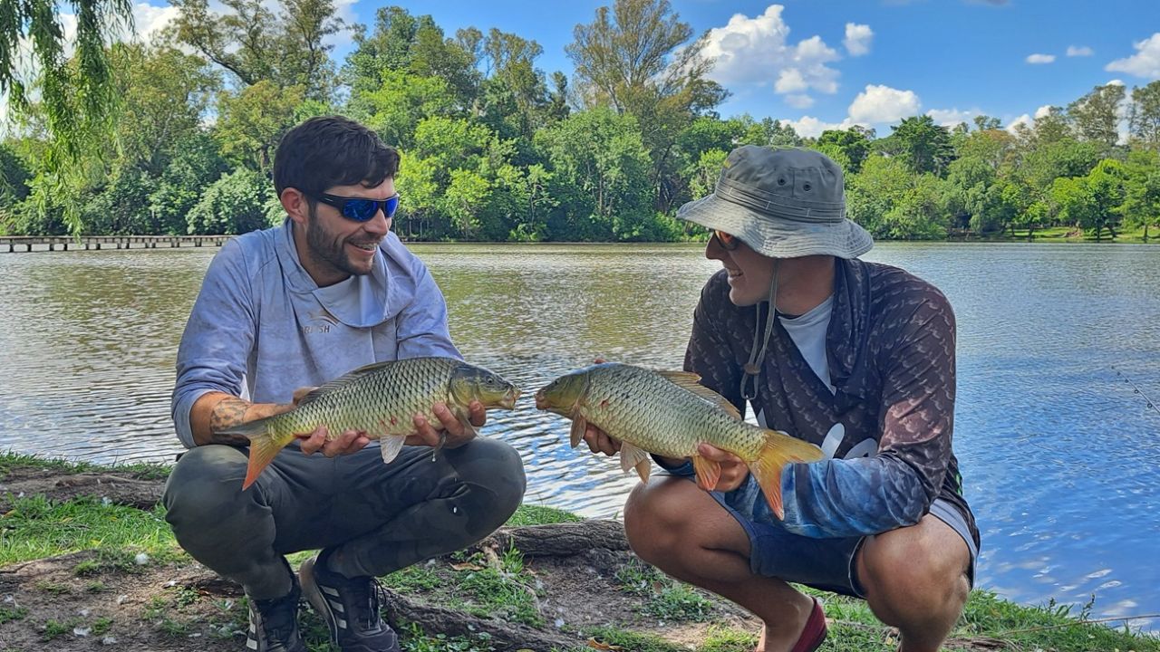 Recorriendo el país en búsqueda de las carpas | Weekend