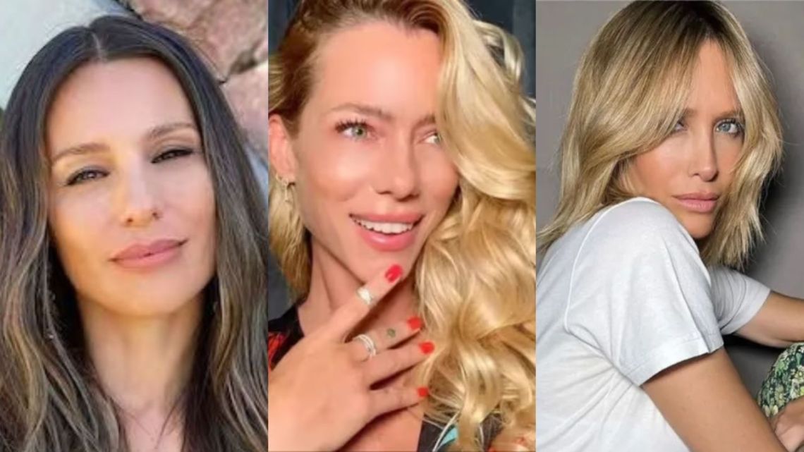 La respuesta de Pampita cuando tuvo que elegir entre Nicole Neumann y Julieta Prandi: "Que se ...