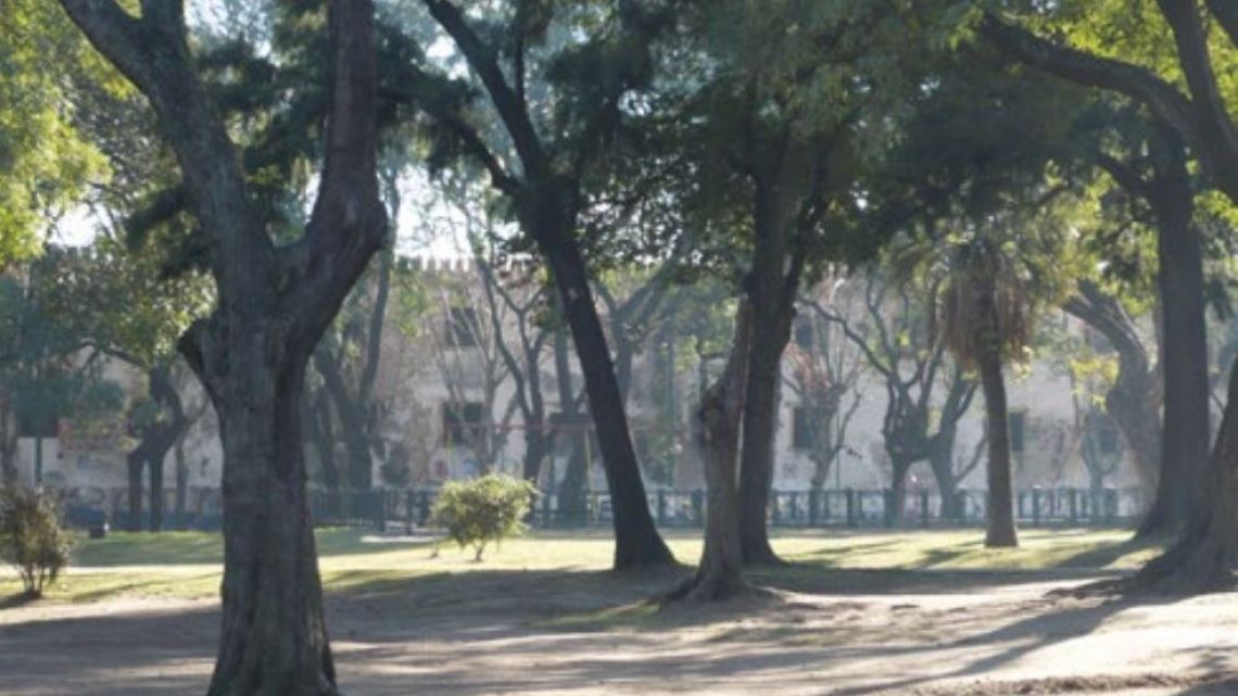 Comenzaron los trabajos de remoción y reemplazo de los 45 árboles ...