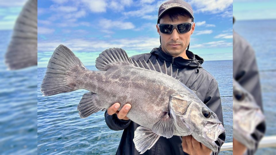 Chernias, entre las más codiciadas especies del Mar Argentino | Weekend