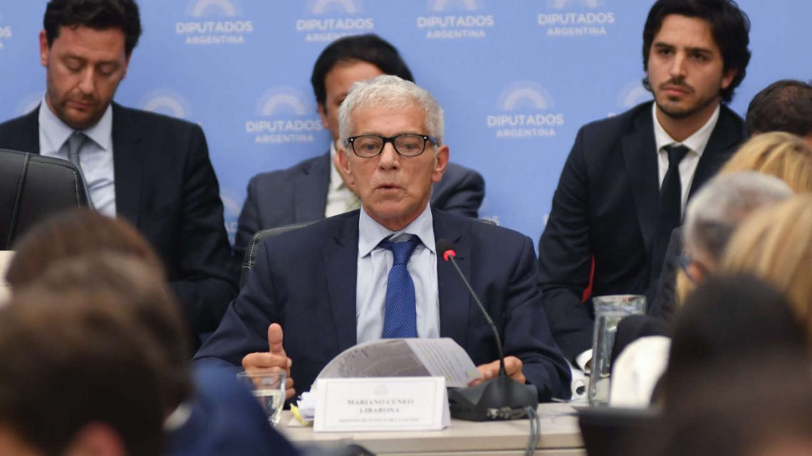 Cómo es la UMSA, la universidad de Cúneo Libarona que gana poder en su ...