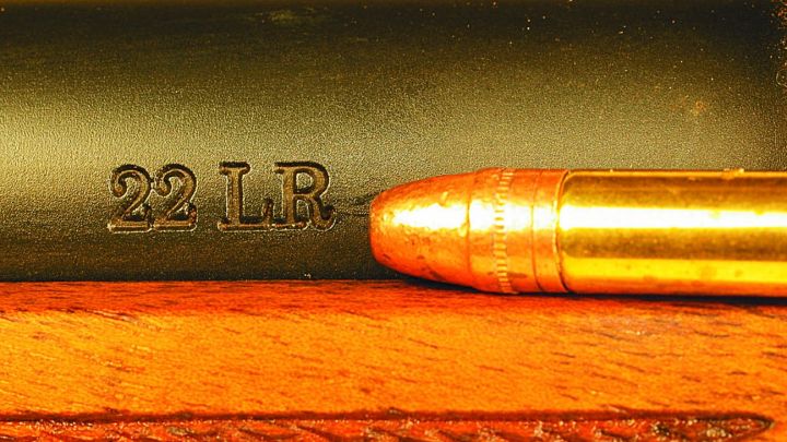 El viejo y popular calibre 22 LR | Weekend
