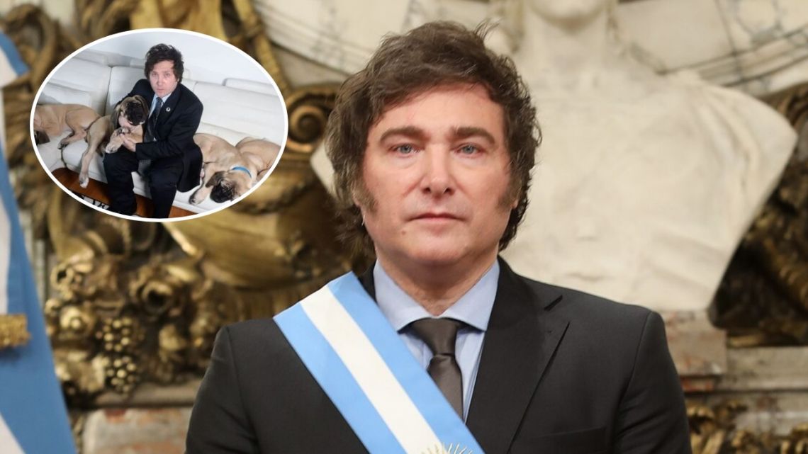 Javier Milei habló de la rutina con sus perros y contó que juega con ...
