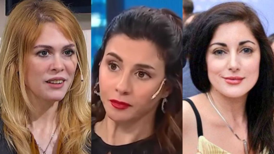 Dos diputadas libertarias cuestionaron a Marcela Pagano: "Festejó antes ...