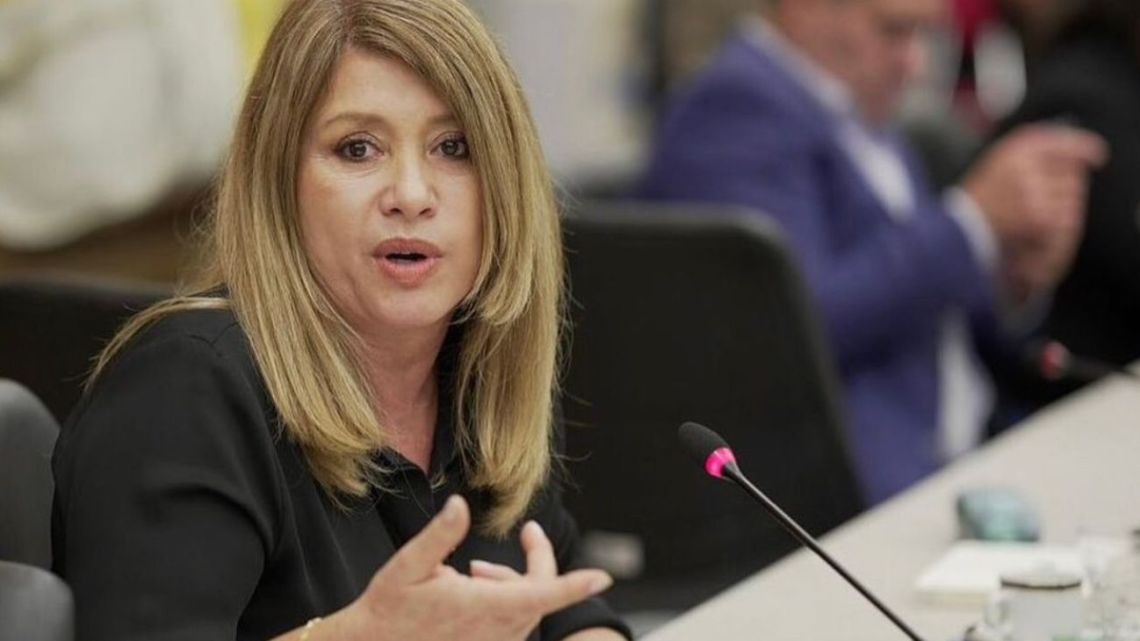 Litza, diputada de UxP: "Milei miente con que los senadores de LLA ...