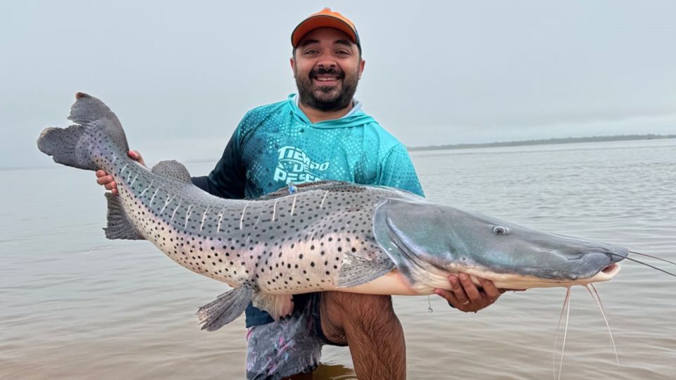 Grandes surubíes, tesoros en el fondo del Paraná | Weekend