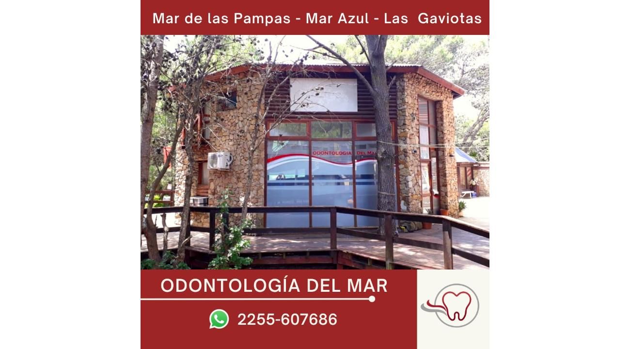 Estética y Funcionalidad: Implantes Monoblock en Mar de las Pampas con ...