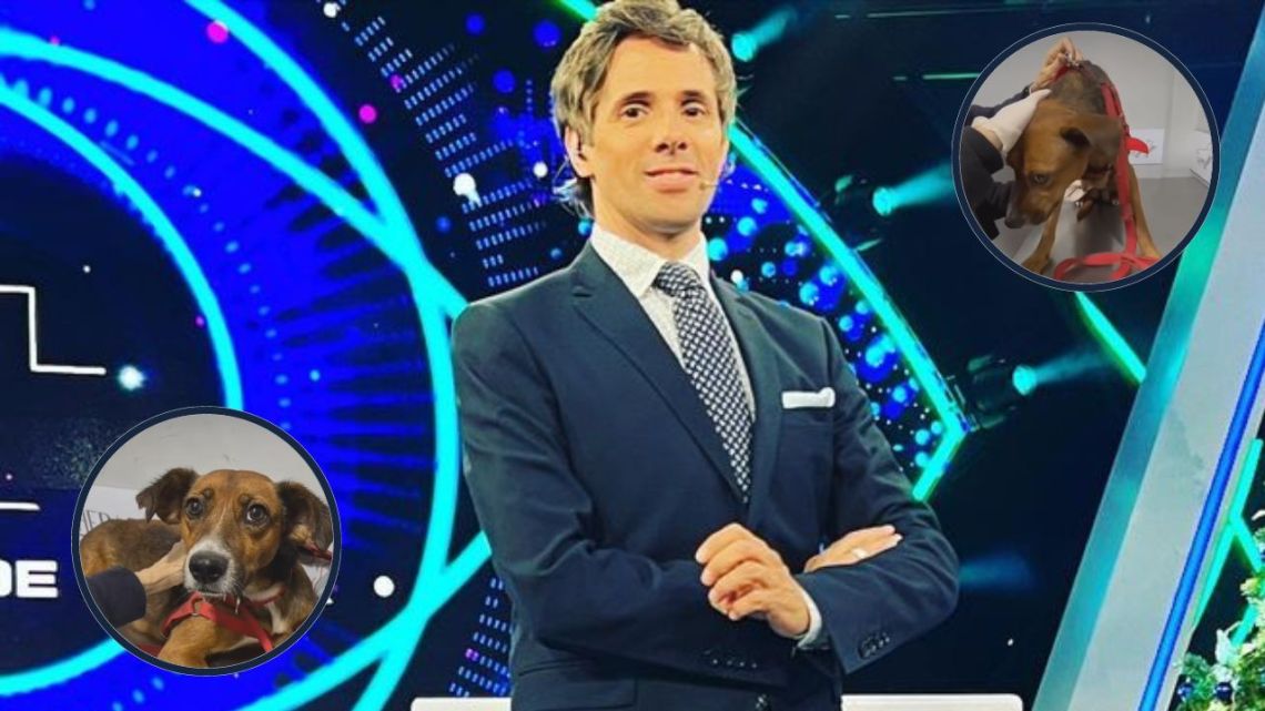 Robertito Funes Ugarte recogió a un perro de la calle tras hacer un móvil: “Nuestras vidas se ...