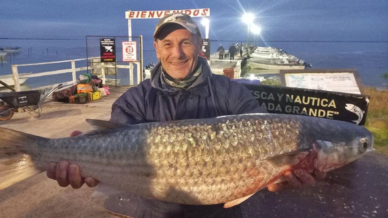 Increíble: pescaron una lisa descomunal en Salada Grande | Weekend