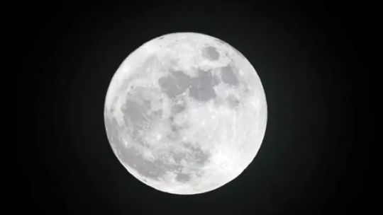 Siete científicos argentinos crearon una APP que permite monitorear a ...