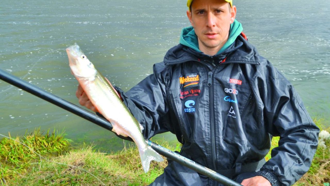 En Weekend de julio te decimos adónde encontrar los matungos del ...