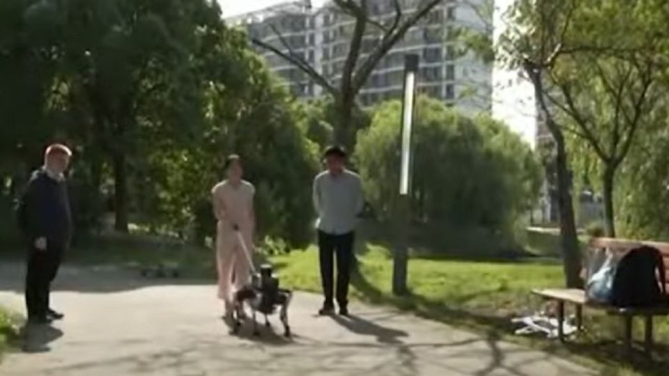 Te presentamos al primer perro robot lazarillo de 6 patas del mundo ...