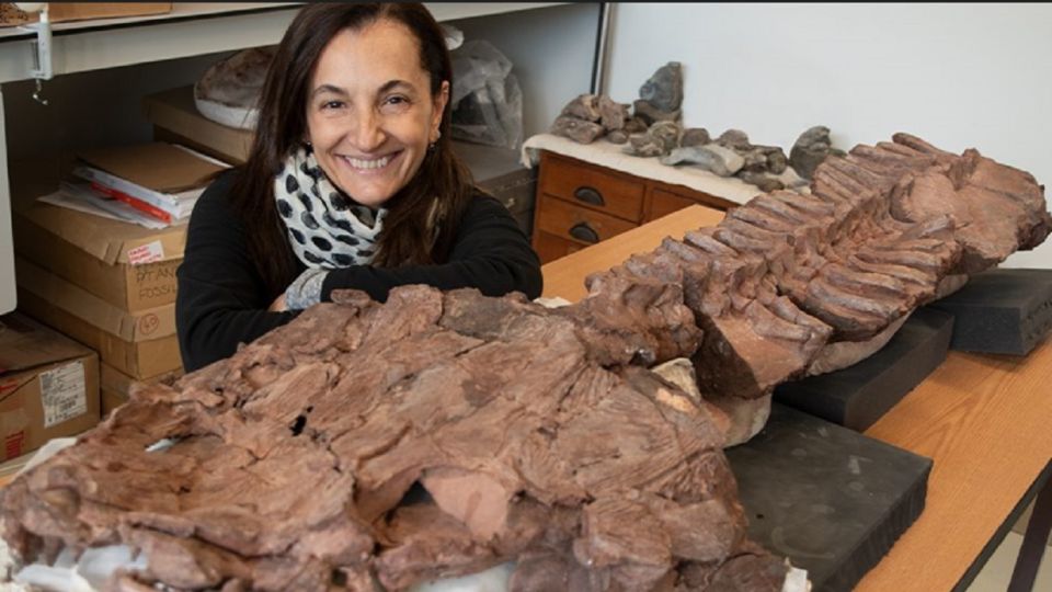 Africa: una paleontóloga argentina encontró restos fósiles de un ...