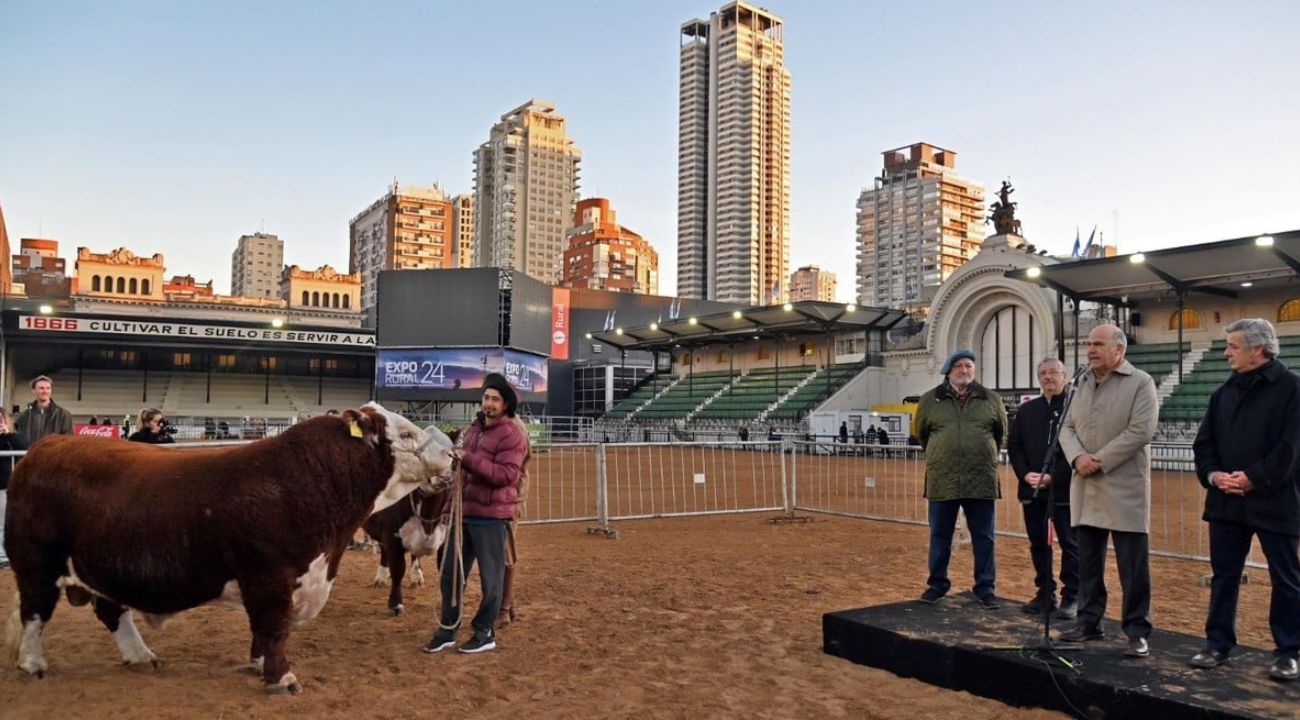 Llegó "Místico" a La Rural, el gran toro Hereford, el primero en pisar ...