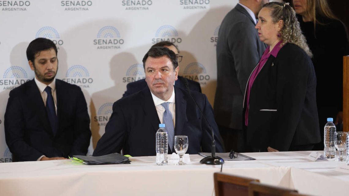 El dictamen de Ariel Lijo en el Senado cosechó fuertes críticas | Perfil