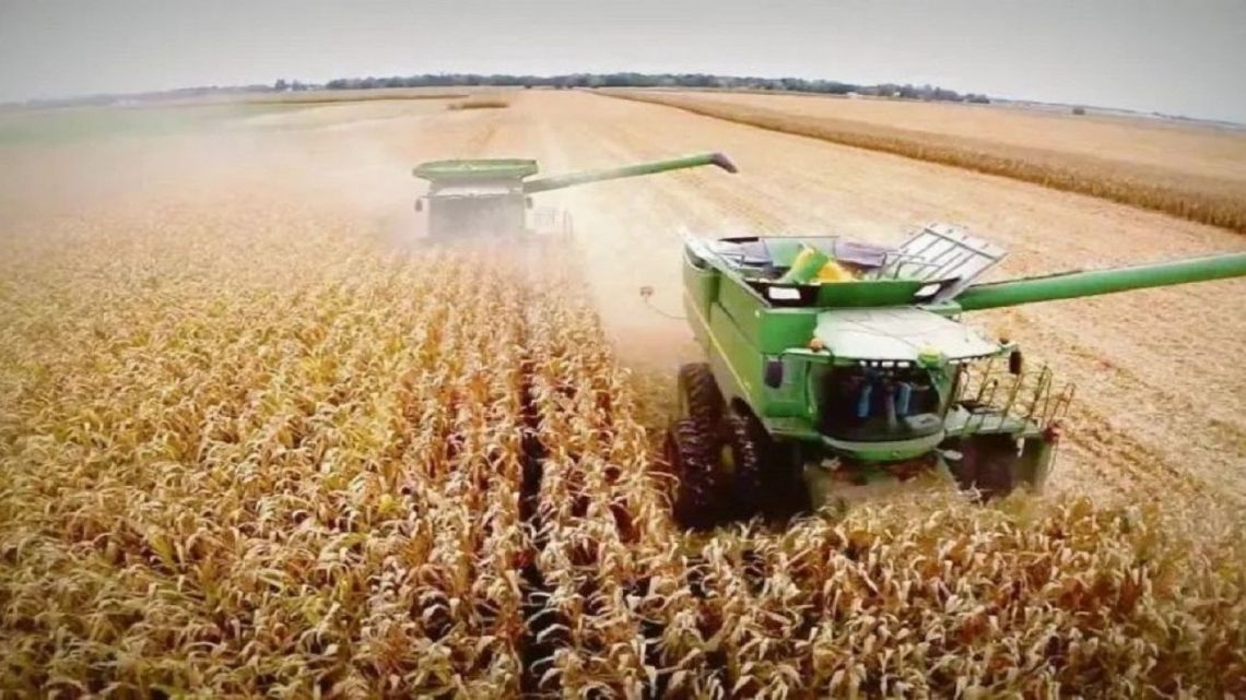 Cuál es el grado de participación de las mujeres en el sector agro ...