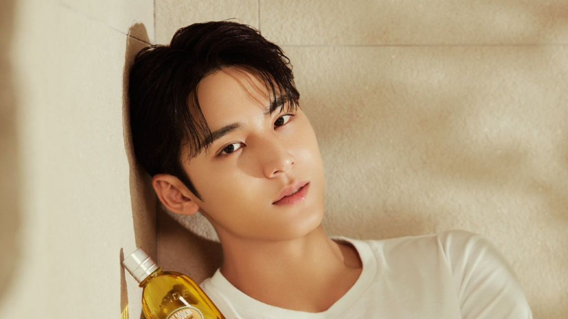 La policía investiga a un empleado de L'Occitane que filtró fotos de Mingyu de SEVENTEEN en el ...