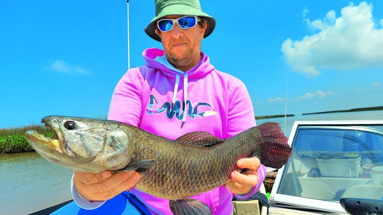 Taruchas y bogas: el desafío | Weekend