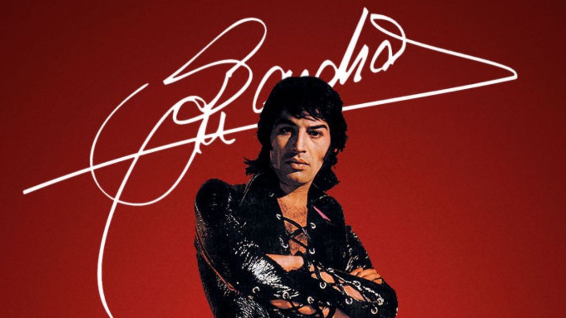 Buscan al nuevo "Sandro" para interpretar un musical que estrenará en ...