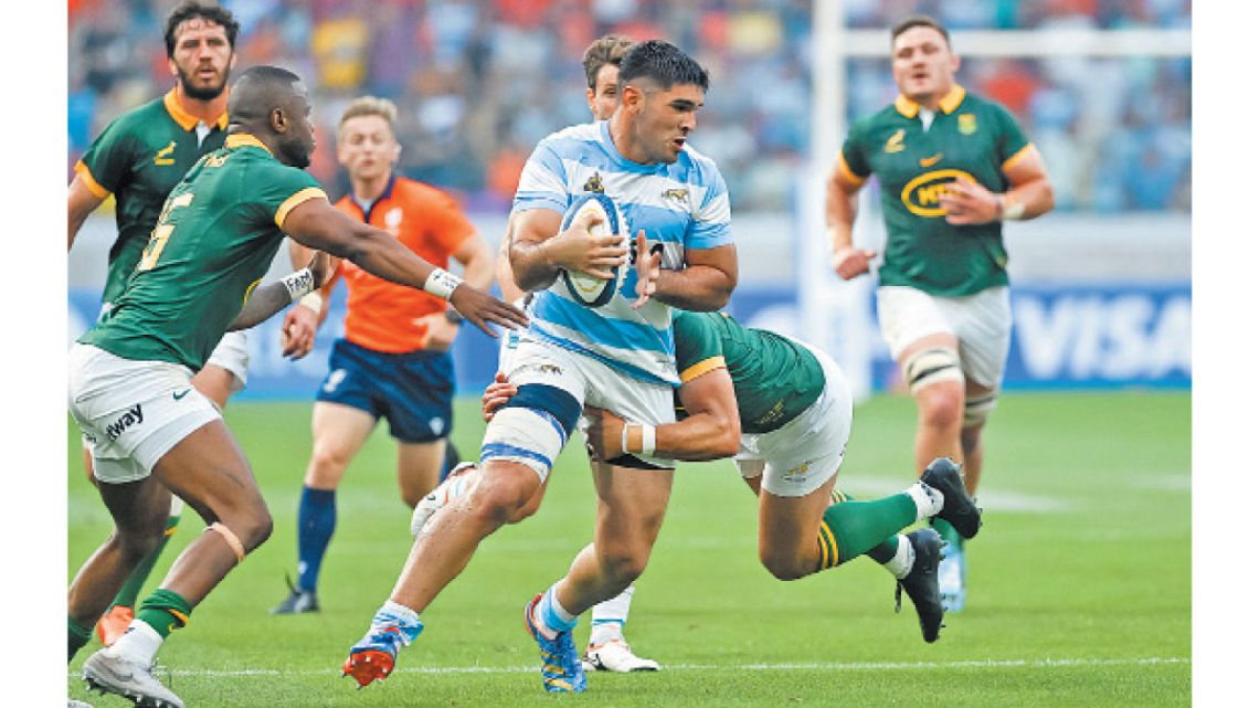Los Pumas: triunfo histórico y dramático ante los Springboks | Perfil