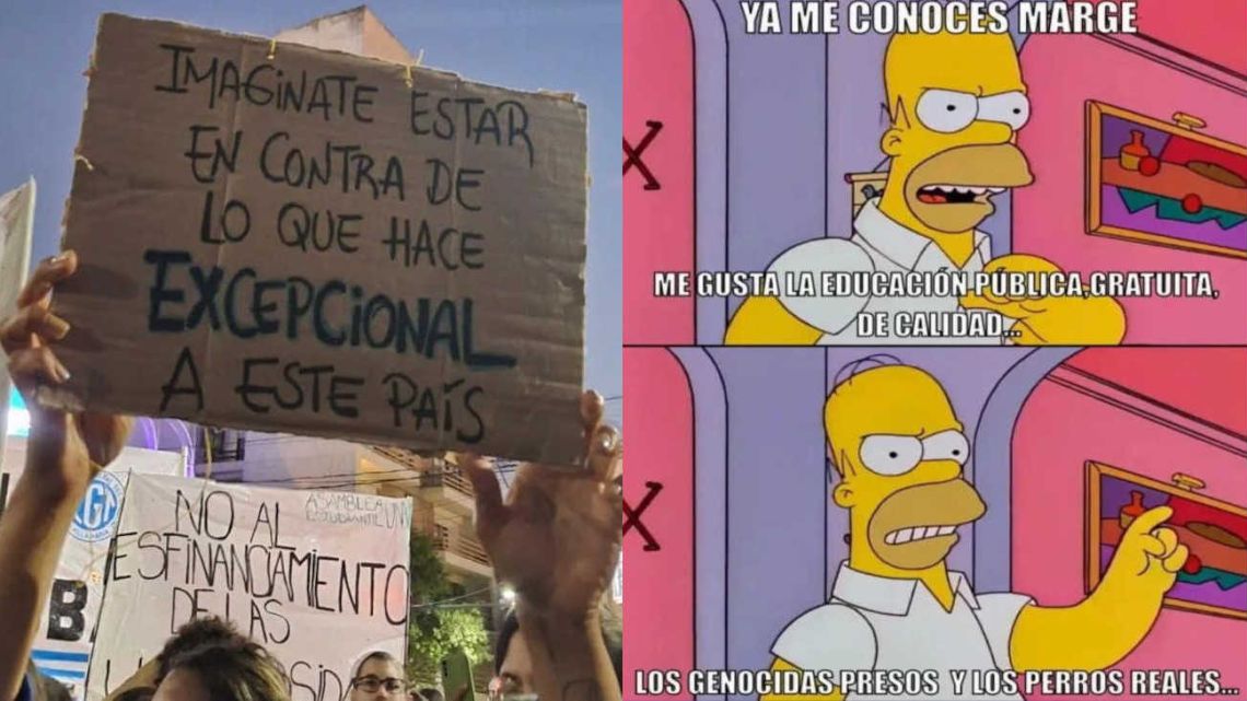 Hubo show de memes por la Marcha Universitaria y el veto presidencial ...