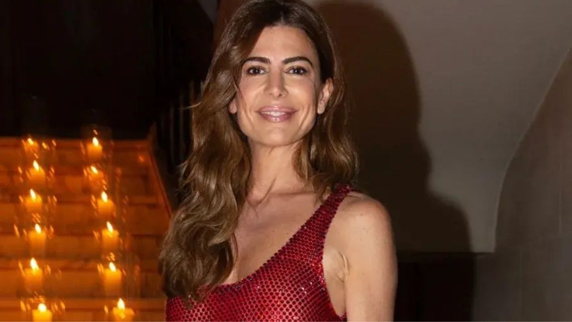 Juliana Awada deslumbró con un look de minifalda y brillos | Caras