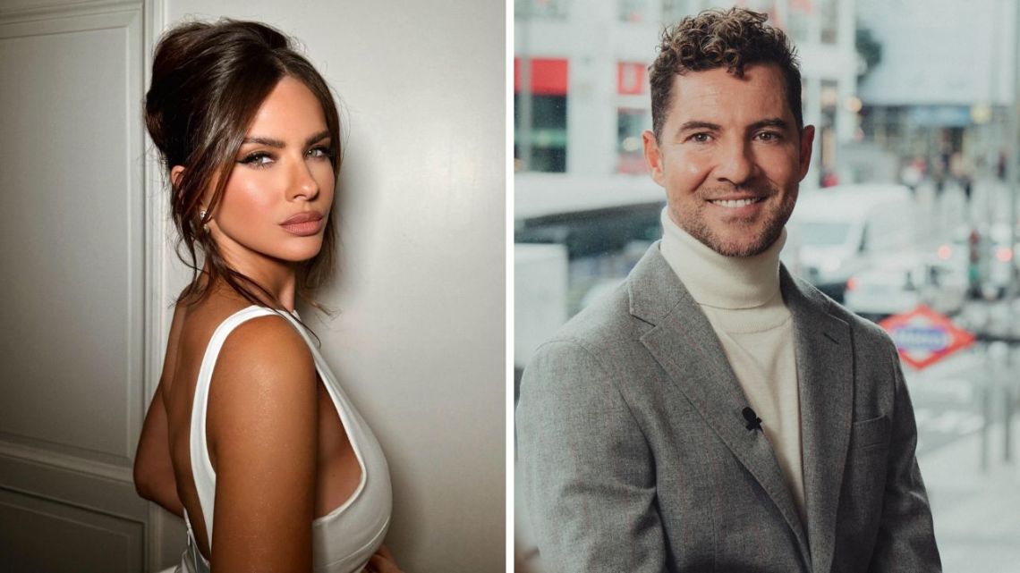 Erika Mitdank aseguró que la China Suárez interrumpió su romance con David Bisbal: "En todos los ...