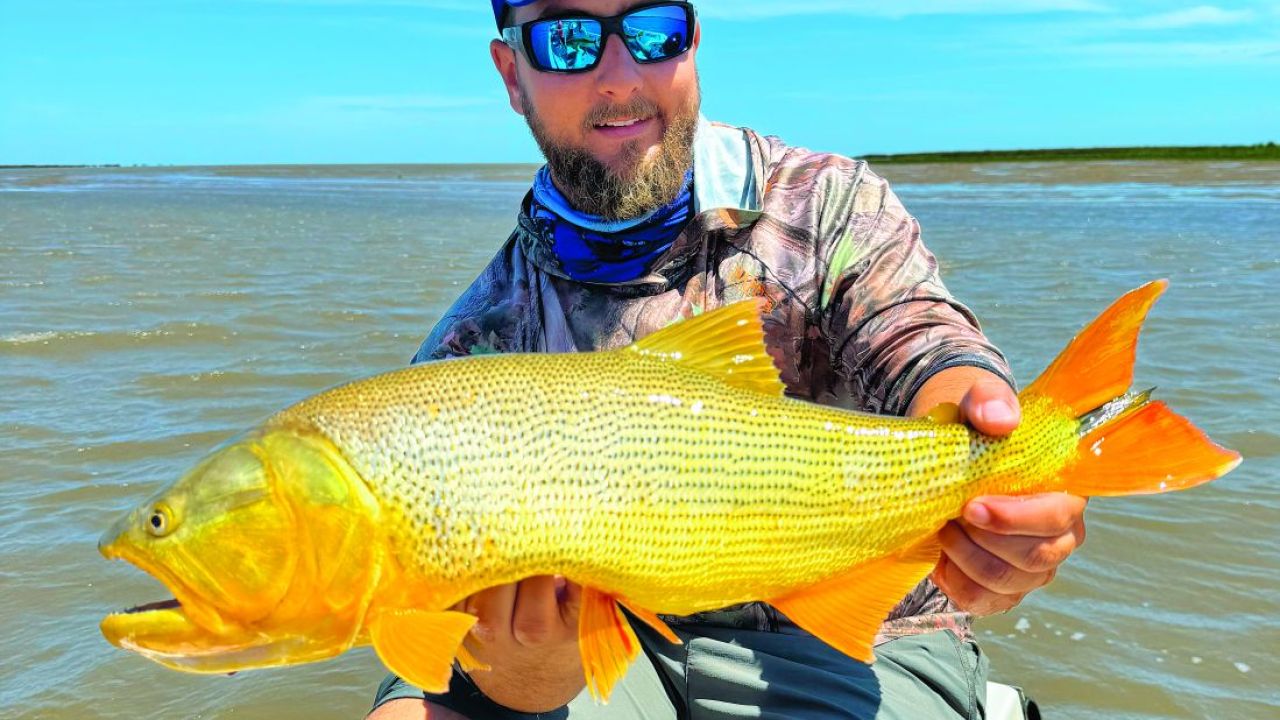 Verano en el Delta del Plata en busca de dorados | Weekend
