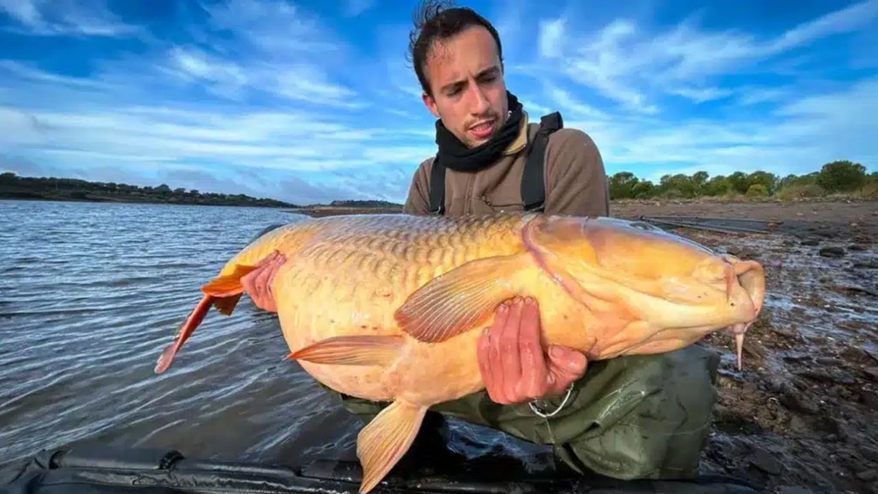 Mirá la carpa gigante que pescaron en Badajoz | Weekend