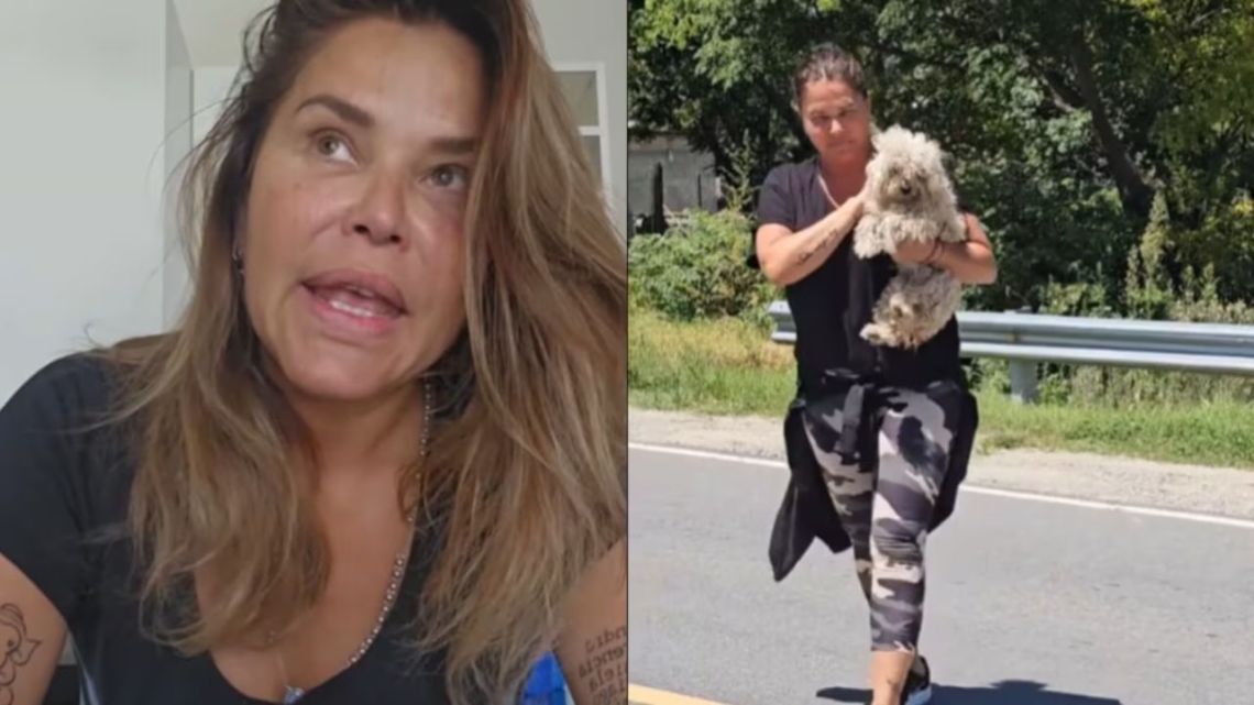 Nazarena Vélez adoptó a un perro abandonado en medio de la calle: el video del rescate | Exitoina