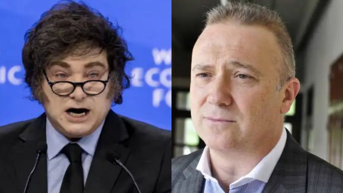 Gil Domínguez contra Javier Milei y sus acólitos: "Una caterva de ...