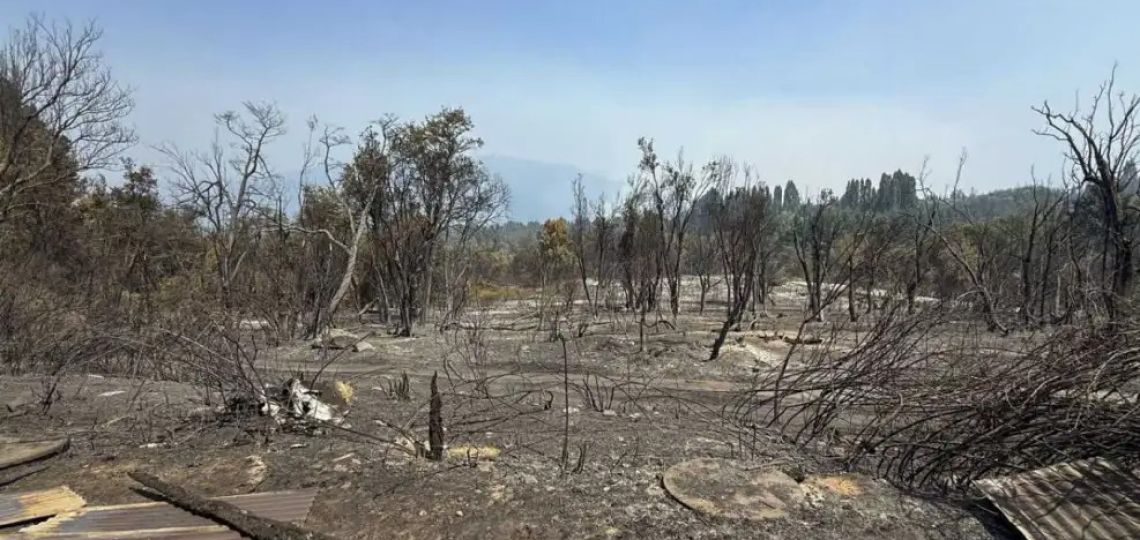 Forest-fire | Buenos Aires Times