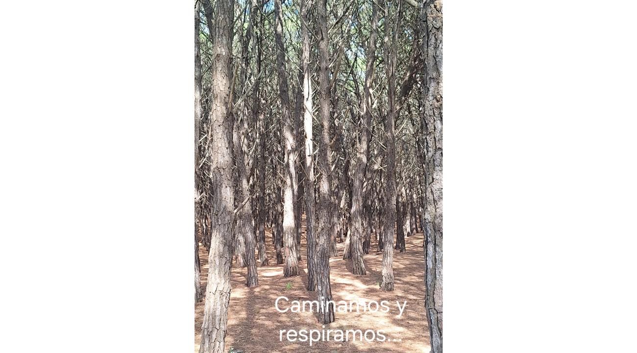 Caminamos – gratis por Buenos Aires | Caras