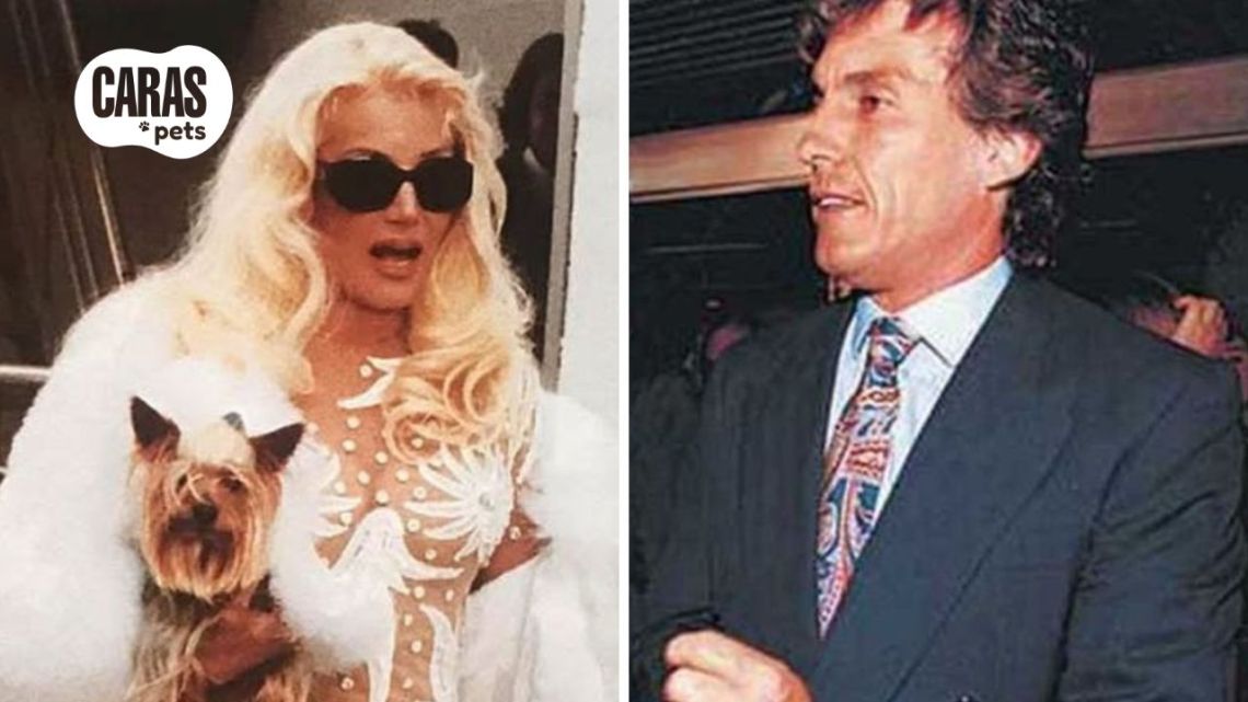 Jazmín, el primer perro famoso en entrar en una división de bienes ...