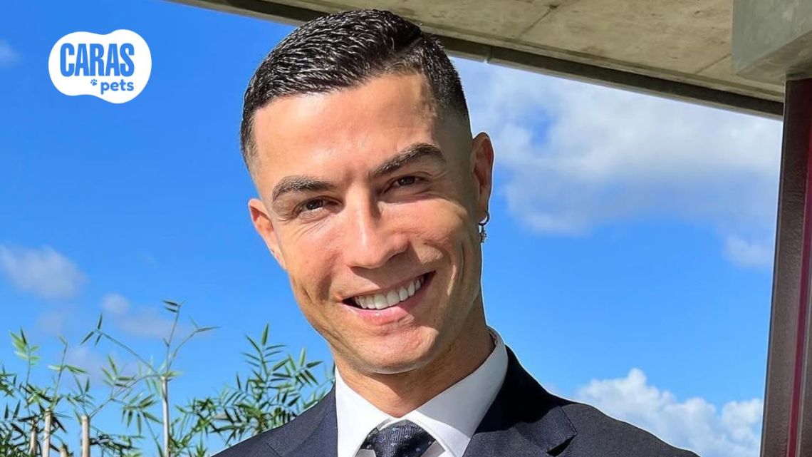 Cristiano Ronaldo y sus mascotas: sus cinco compañeros perrunos y su ...