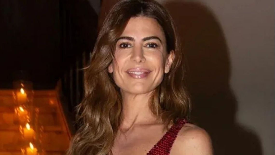 El espectacular vestido de fiesta de Juliana Awada con brillos y transparencias | Caras