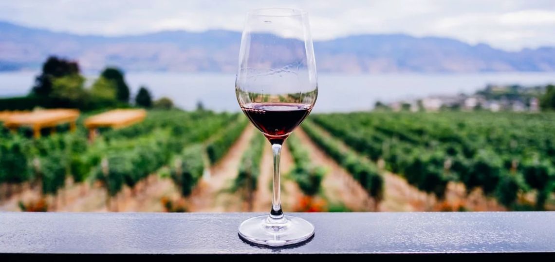 Argentina’s annual wine exports near US$1-billion mark | Buenos Aires Times