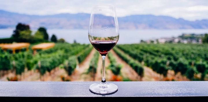 Argentina’s annual wine exports near US$1-billion mark | Buenos Aires Times