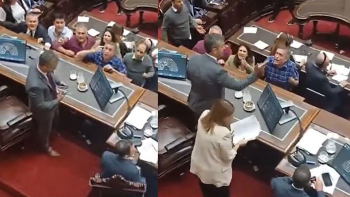 Máximo Kirchner enfureció contra Martín Menem cuando se levantaba la ...