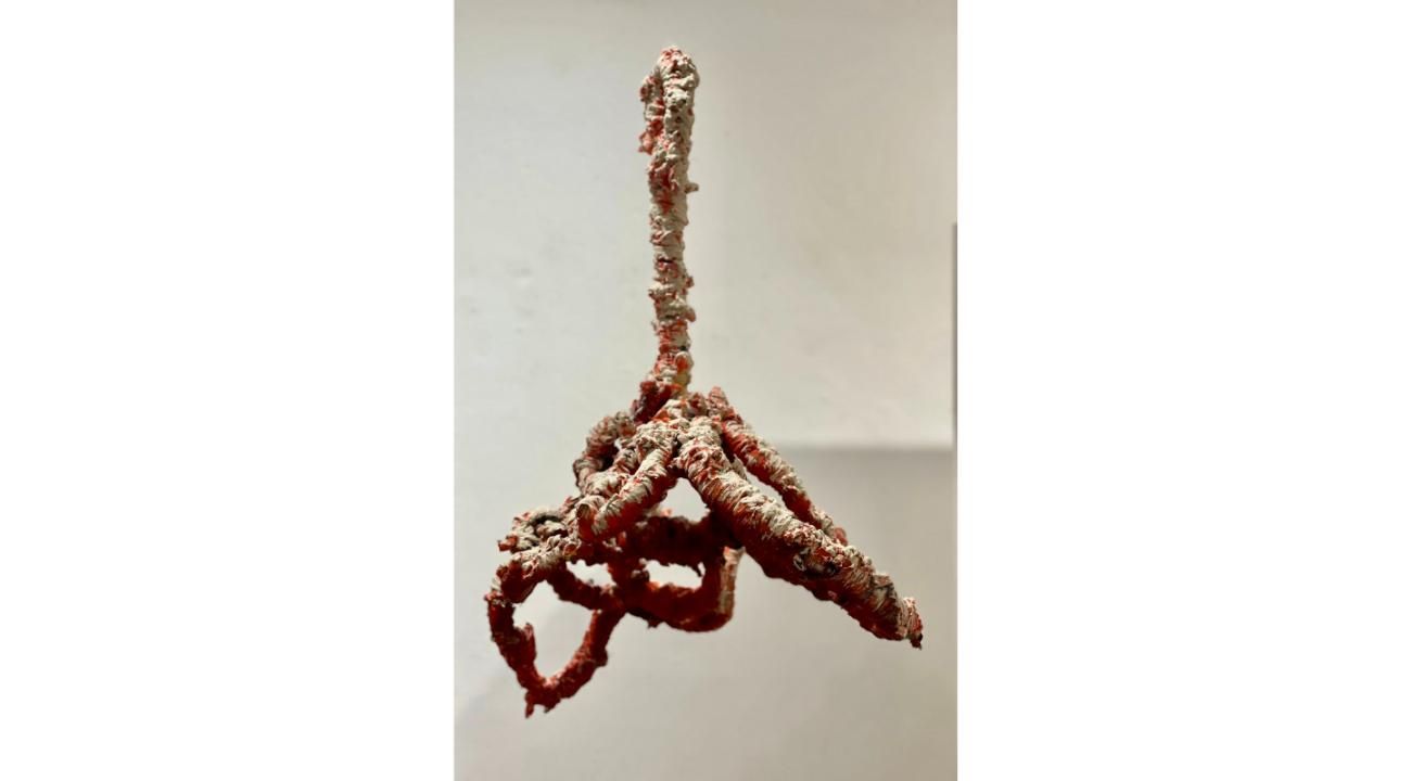 RUDA: Un Viaje Sensorial Entre el Arte y las Profundidades del Mar ...