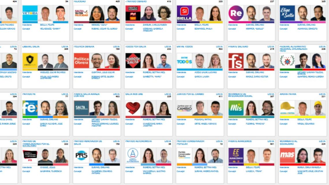 Elecciones En Salta 2025 Qué Se Vota Y Quiénes Son Los Candidatos Perfil 5973