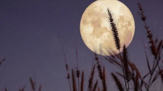 Luna de las Flores 2025: ¿a qué hora y cómo puede verse desde la ...