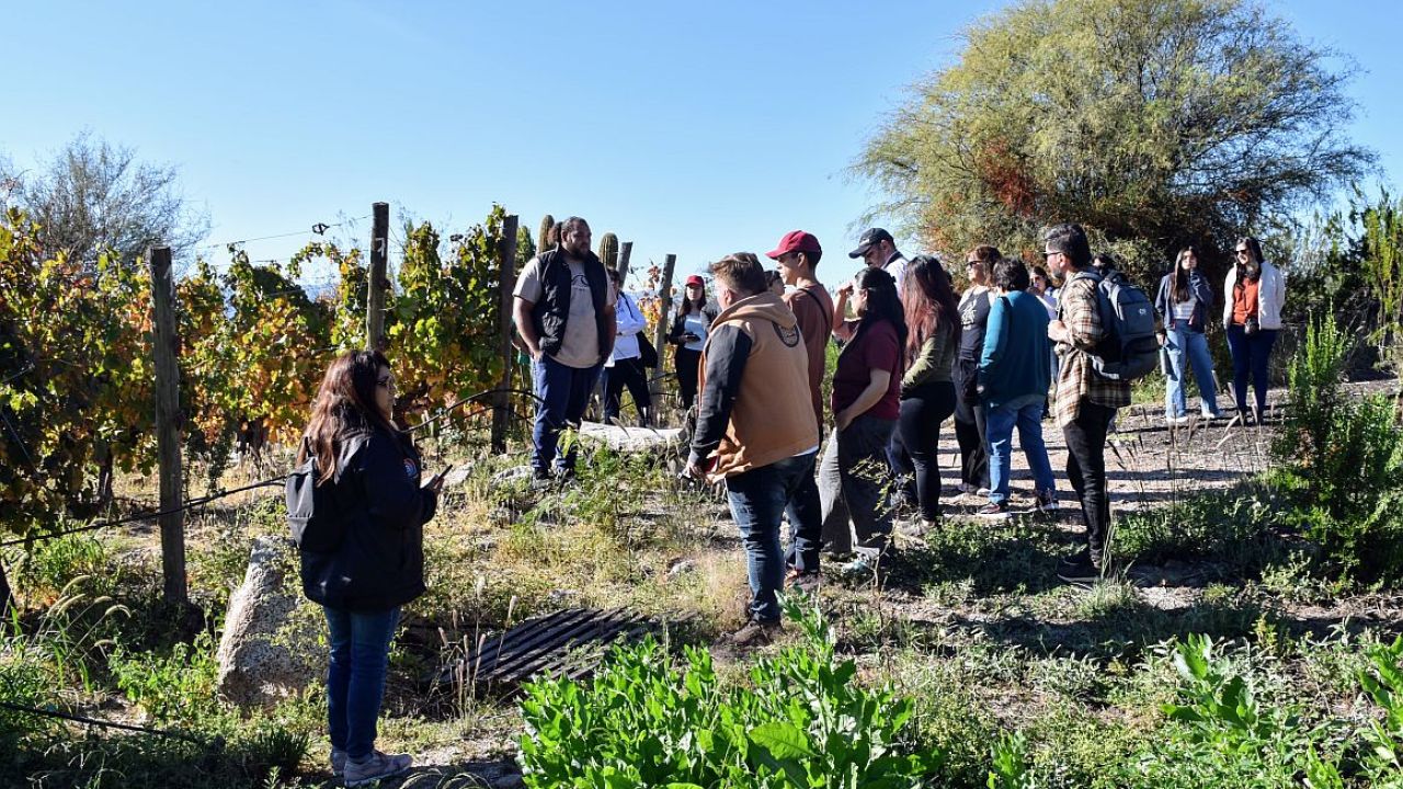 La Rioja: nueva web para el visitante y bus turístico temático | Weekend