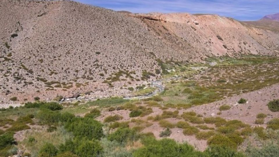 Sorprendente: descubren un enorme bosque nativo en San Juan | Weekend