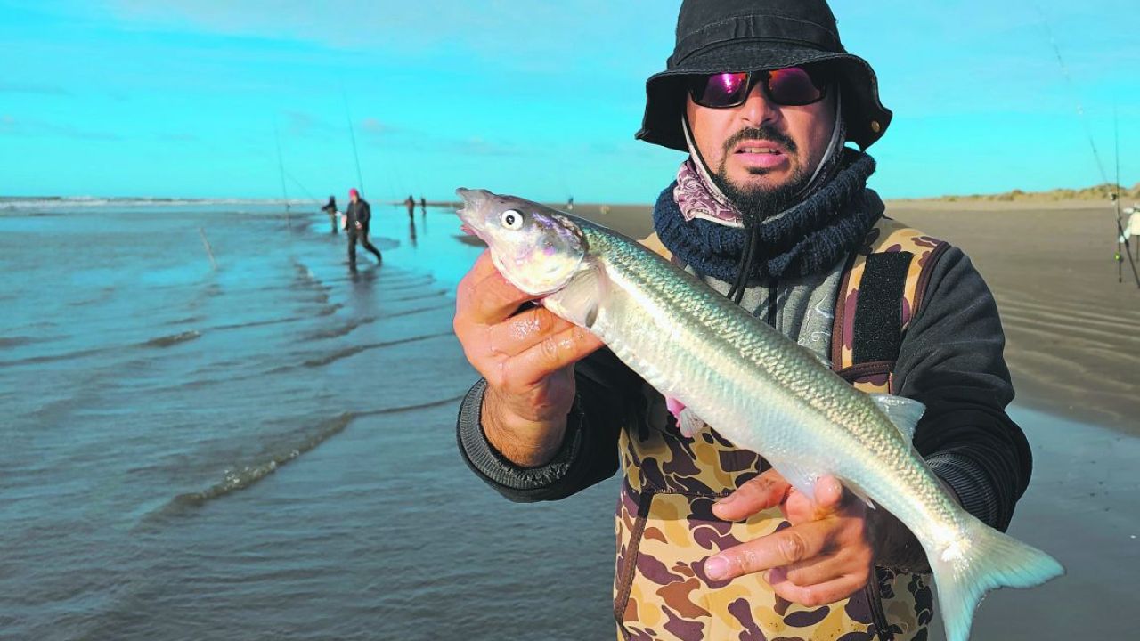Panzón: el trofeo máximo de bahía San Blas | Weekend
